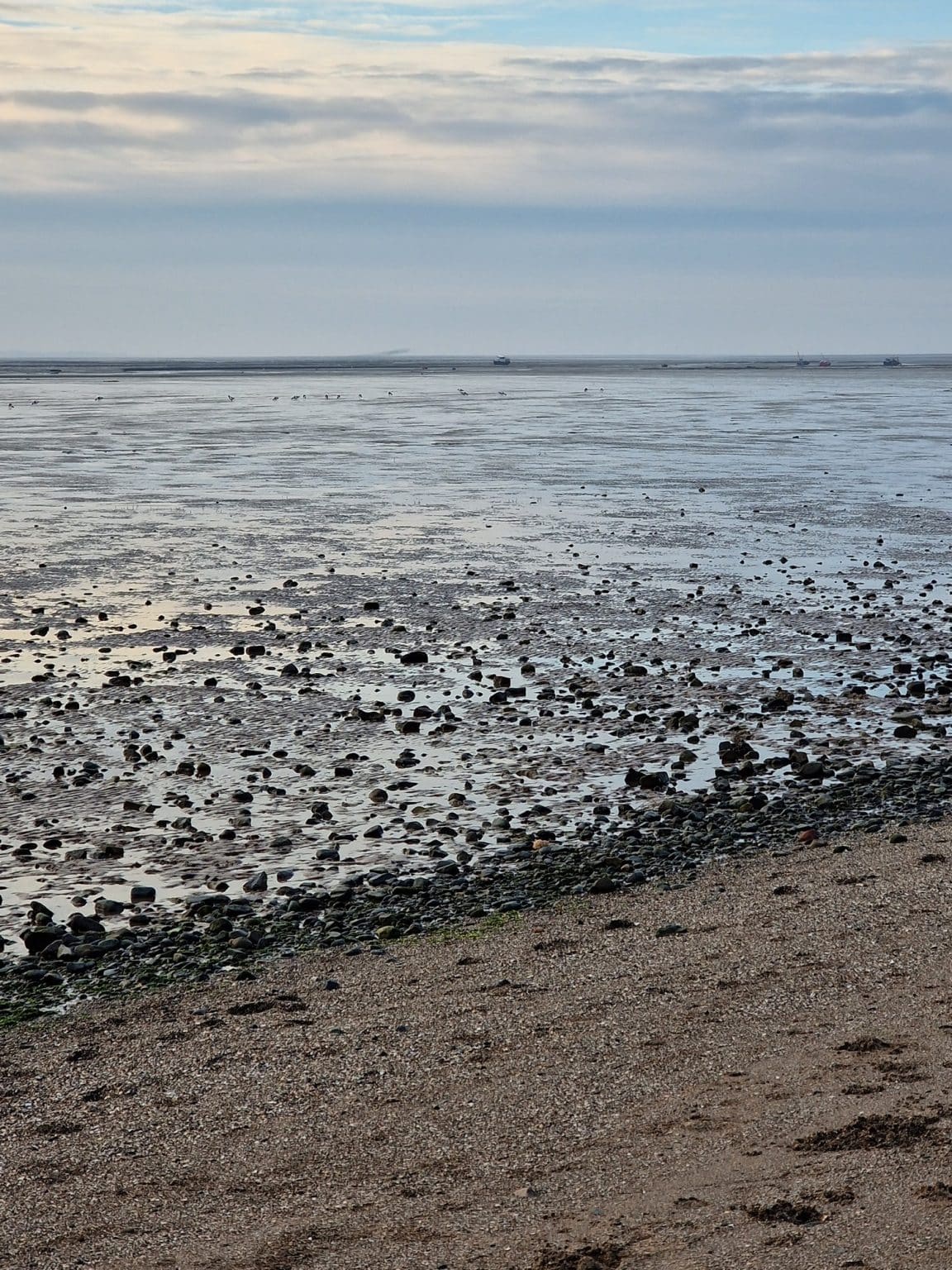 Thurstaston Beach - Your Local Wirral